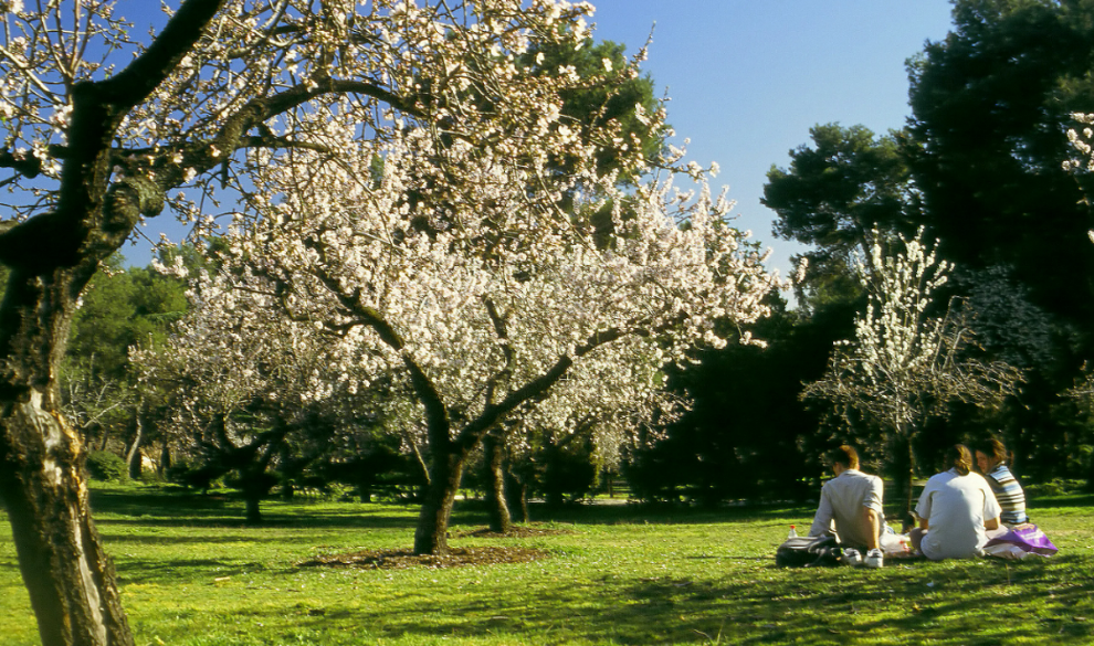 4 parques ideales para hacer un picnic con amigos a la sombrita