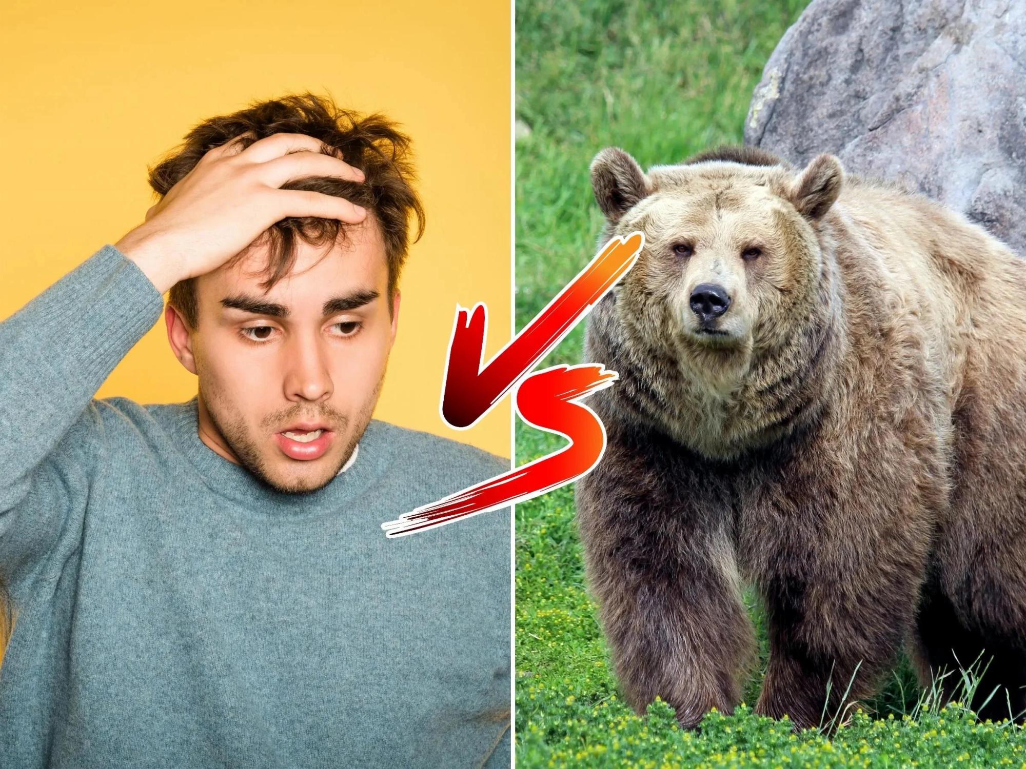 FEMINISMO | Qué es el ‘trend’ del oso y por qué se usa en TikTok para ...